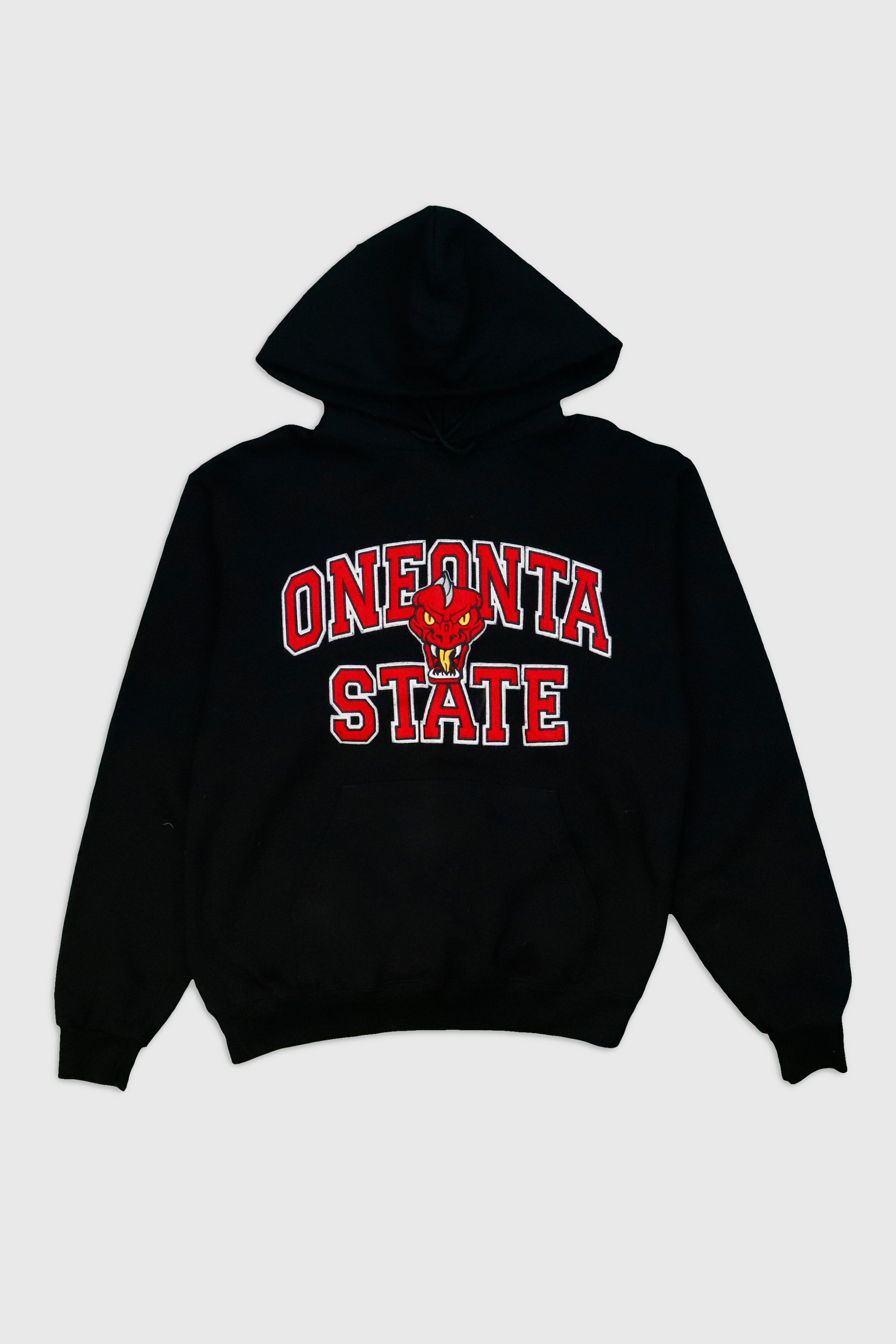 Vintage Champion Oneonta State Dragonhead Print Sweatshirt – FAIF.COM